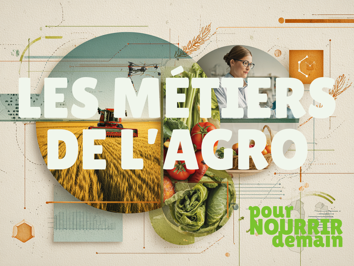 Formulateur R&D : l’architecte discret des recettes alimentaires - La ...